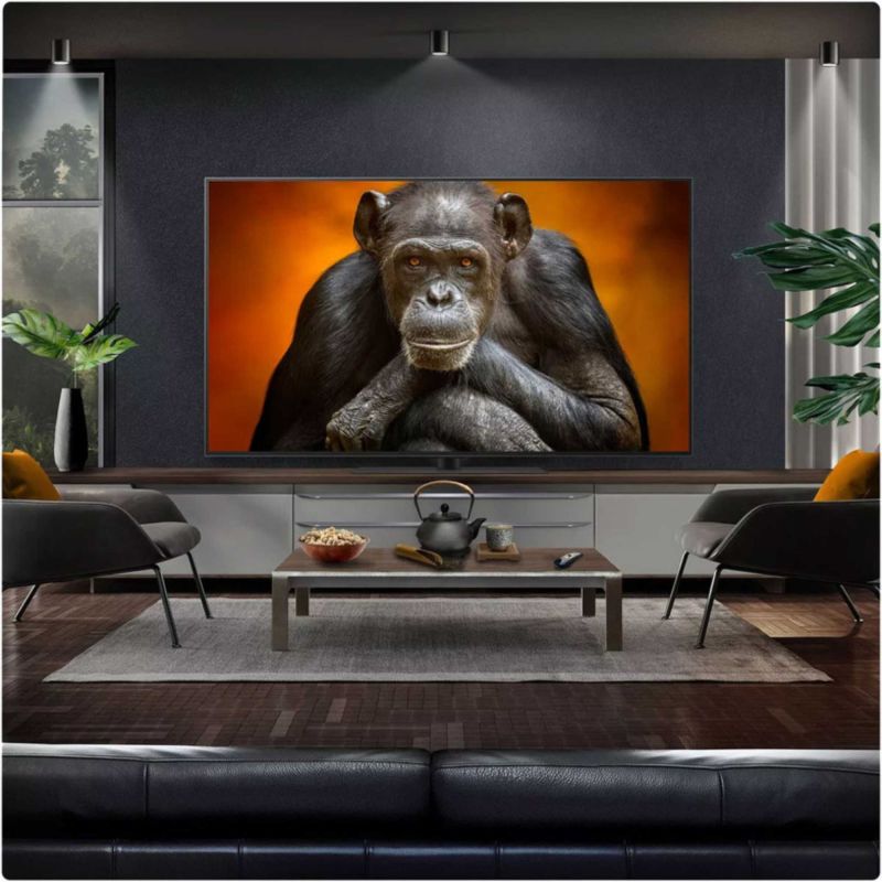 LG G56LS 55" 4K Ultra HD OLED 120Hz Smart TV - OLED55G56LS | Hughes