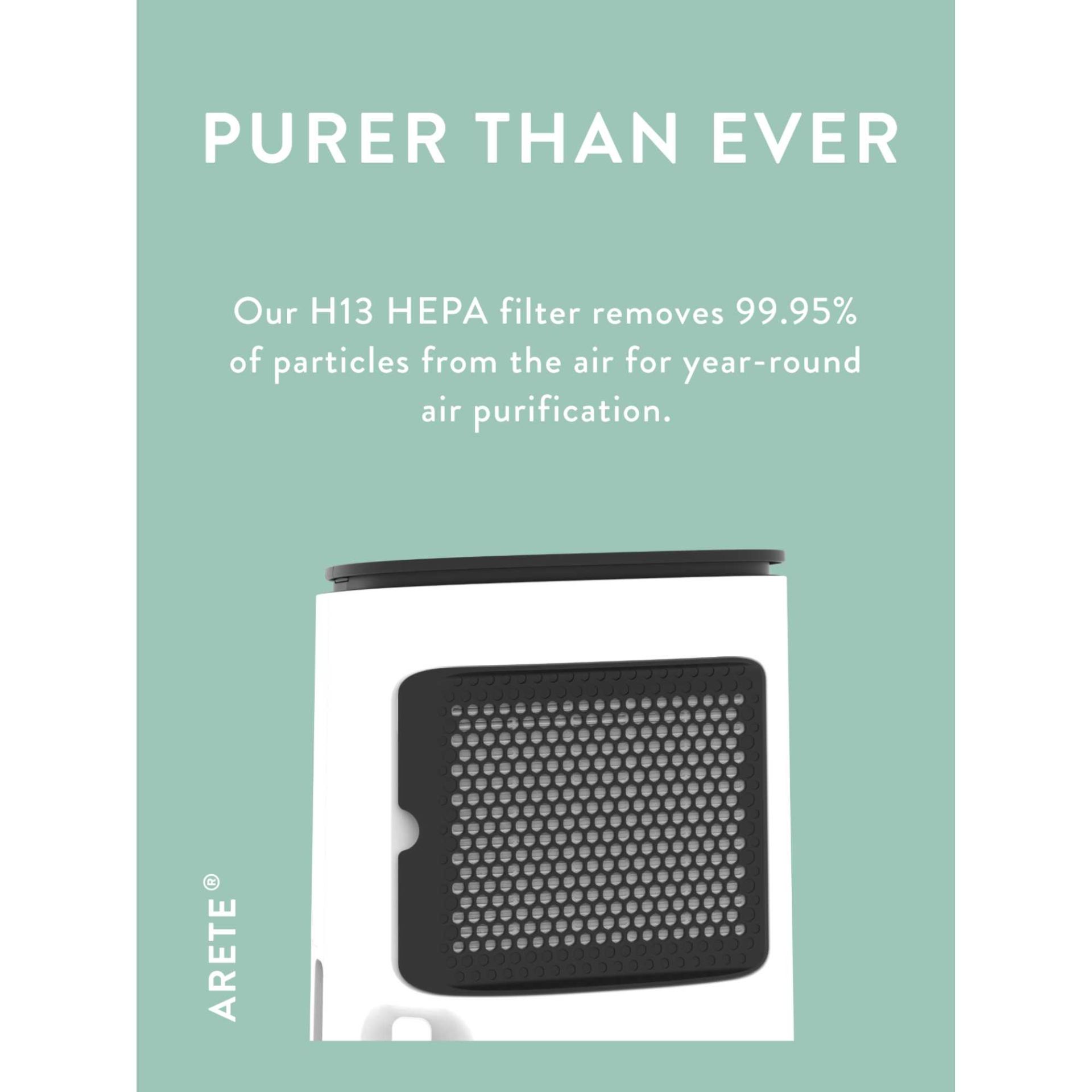 MEACO Arete One ARETE-12 12L Dehumidifier & Air Purifier | Hughes